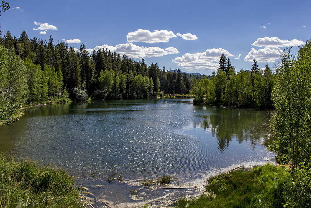 Home | K. Bradley Washburn Art & Design