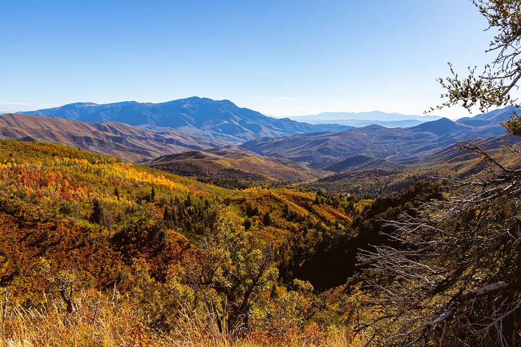 Nebo Loop in Autumn | K. Bradley Washburn Art & Design